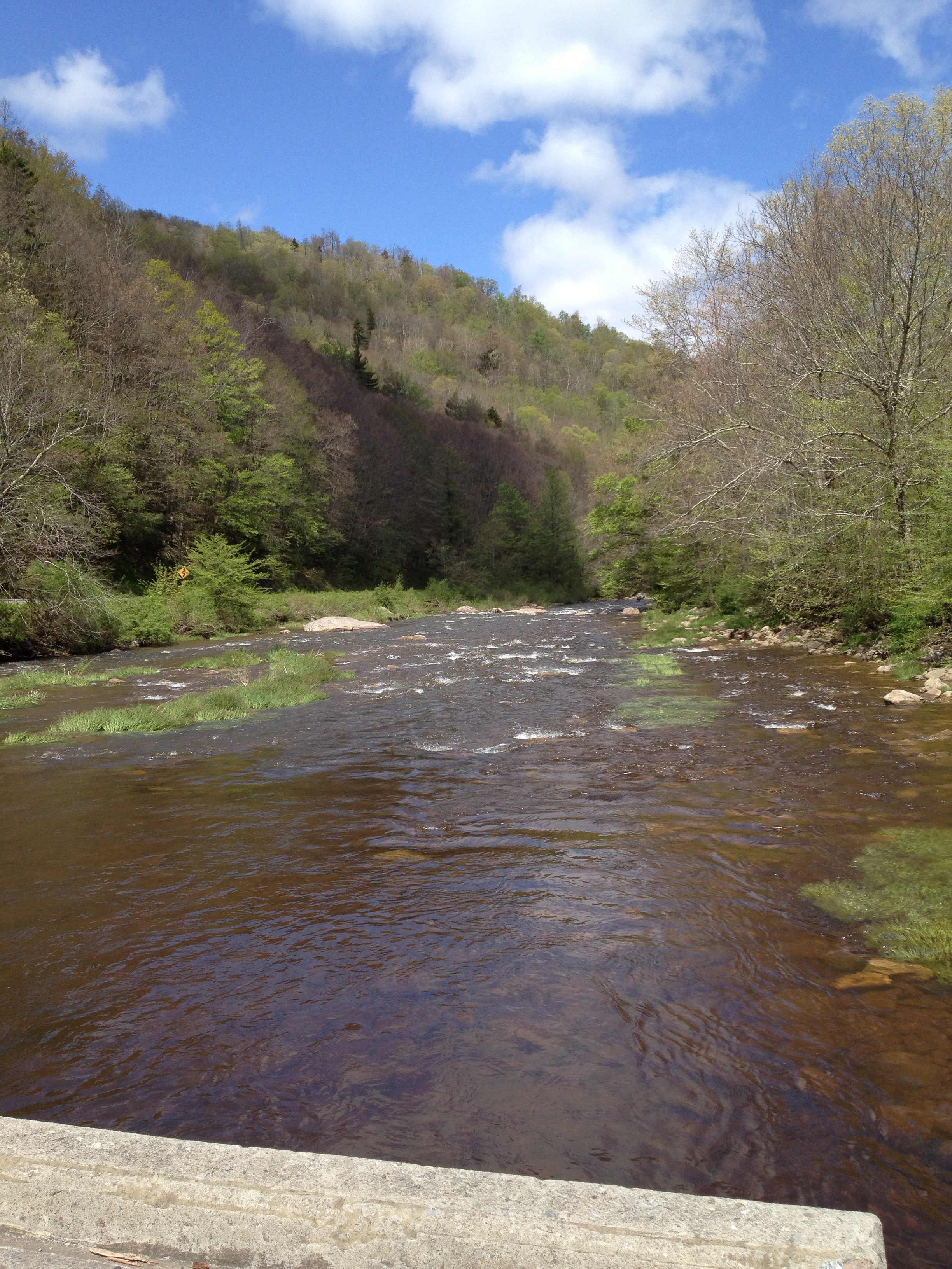 Williams River, WV, May 12, 2013