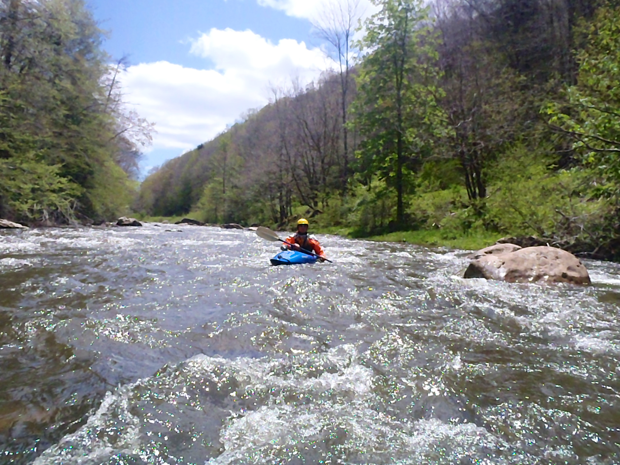 Williams River, WV, May 12, 2013